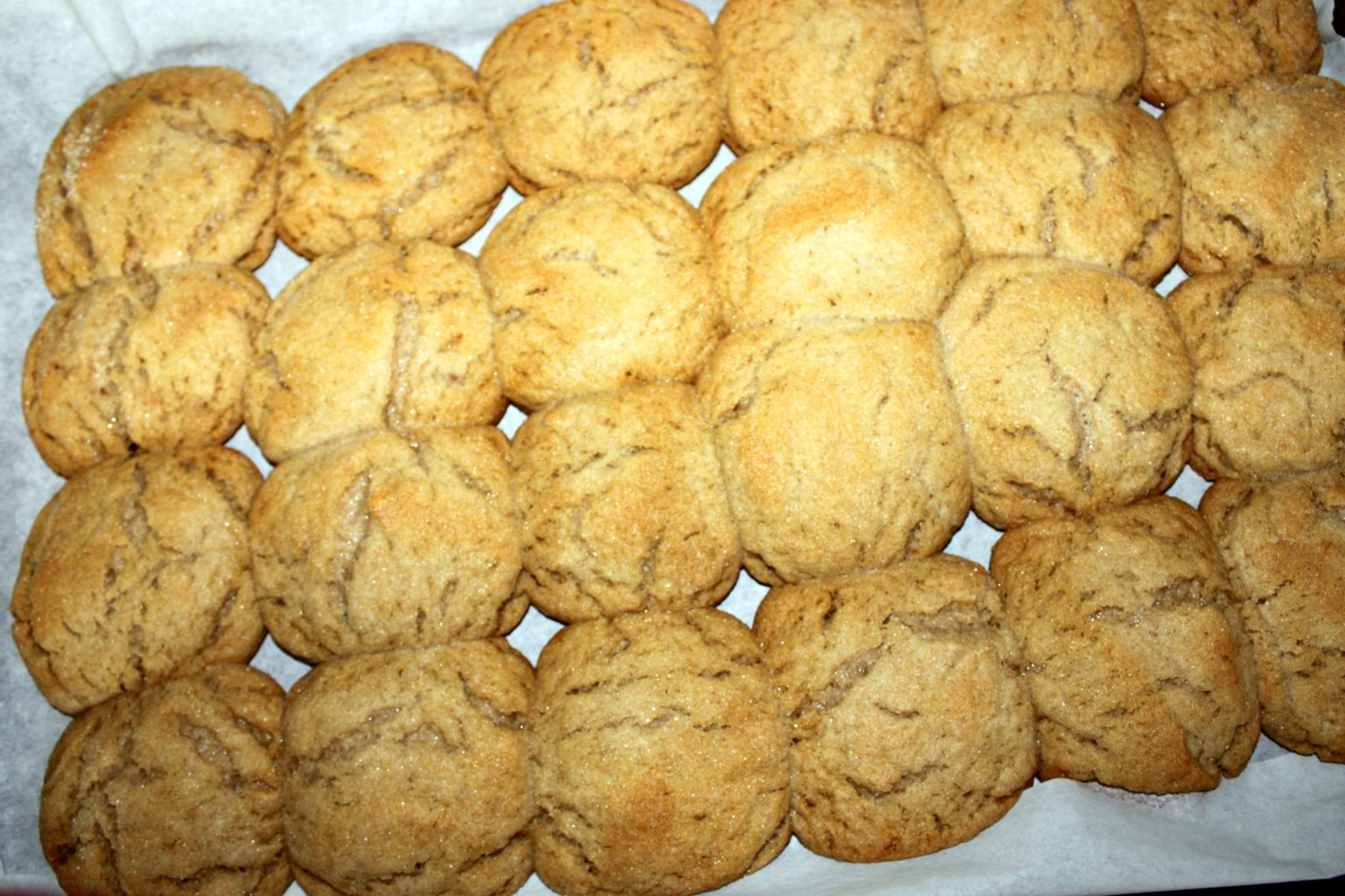 Honey Ginger Crackles – Kidney Community Kitchen